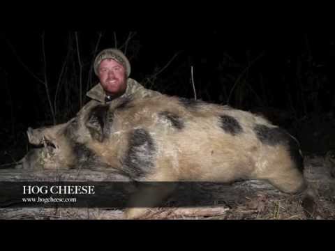 Hog Cheese! - YouTube