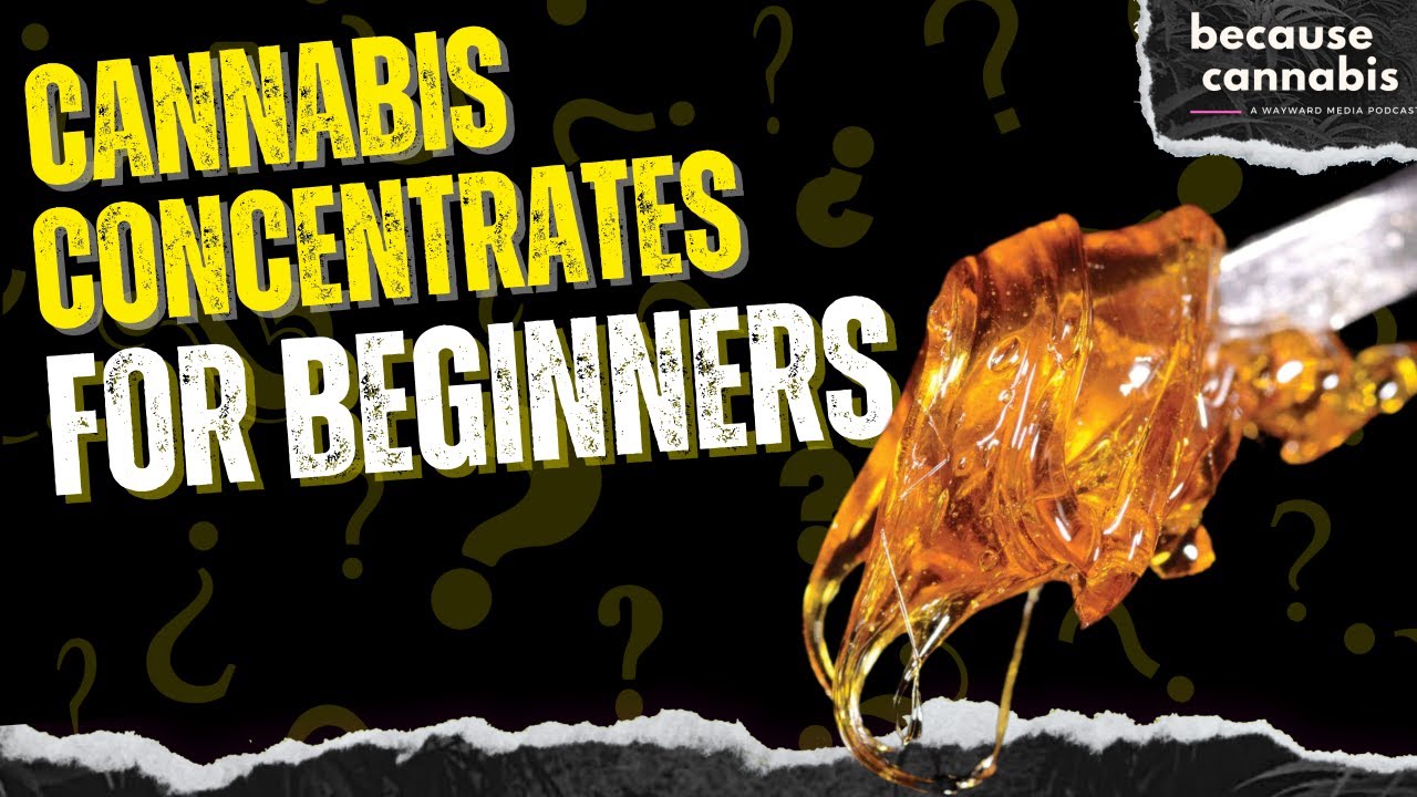 Simplifying Cannabis Concentrates: Live Resin | Distillate | CO2 | BHO ...
