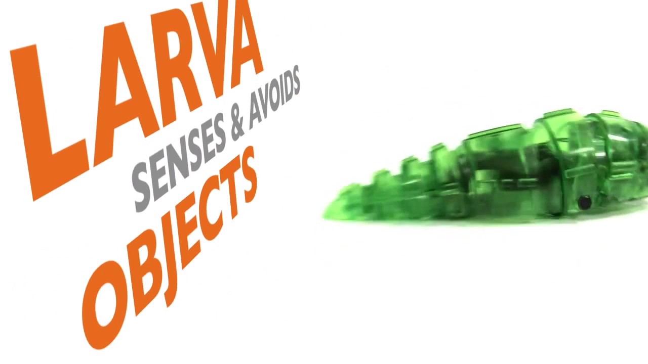 Larva - Hexbug robot - YouTube
