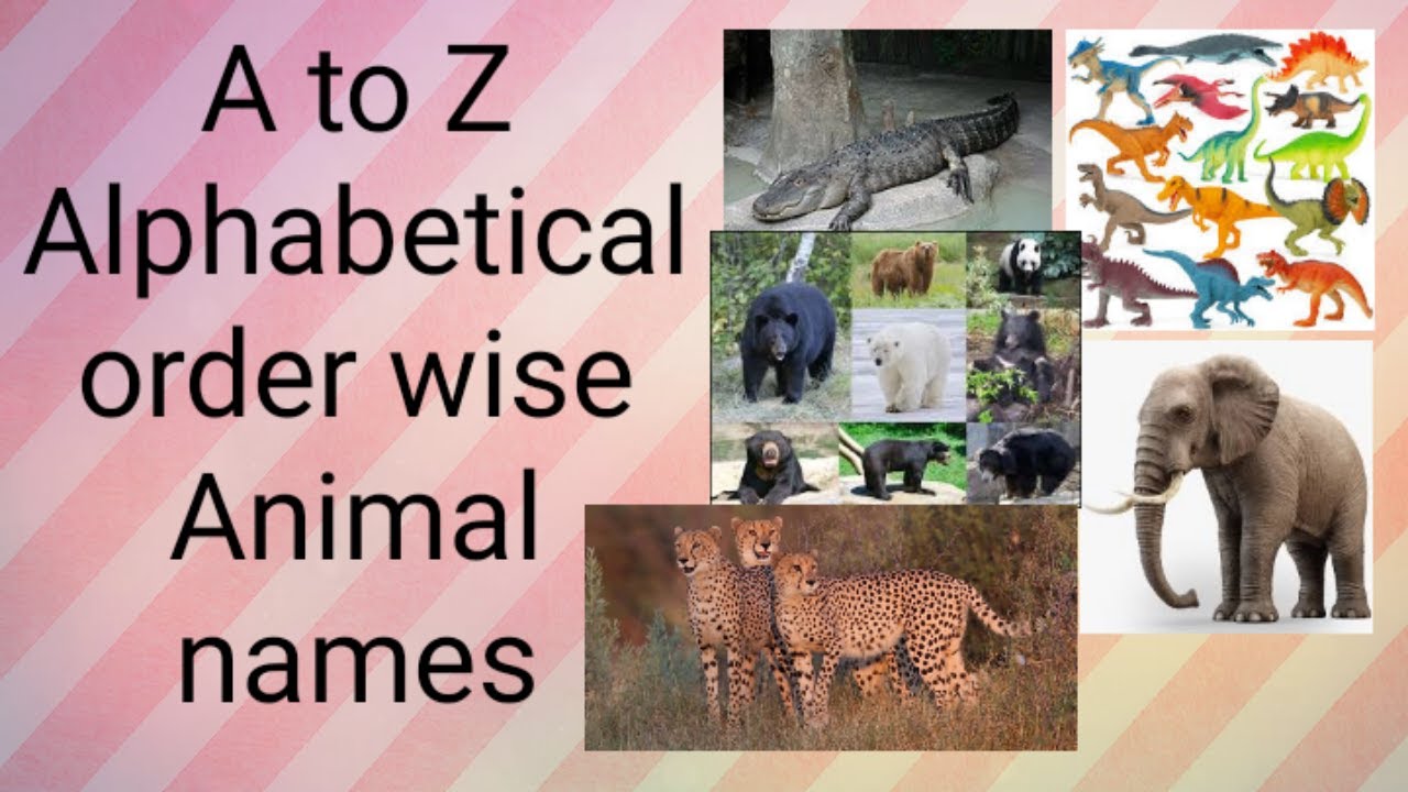 A to Z Alphabetical order wise Animal names//For Preschool Kids Special ...