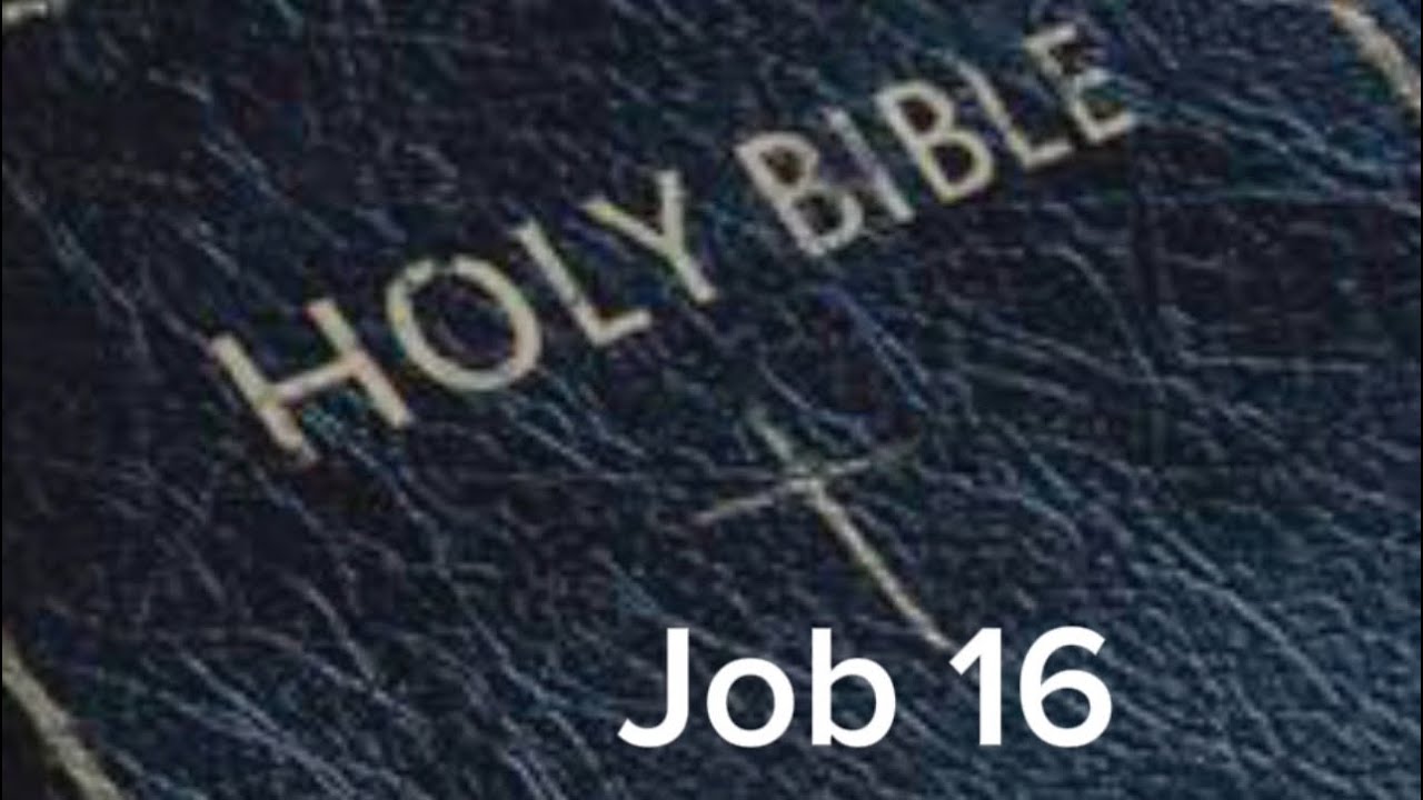 Job 16 (NIV) The Audio Bible - YouTube
