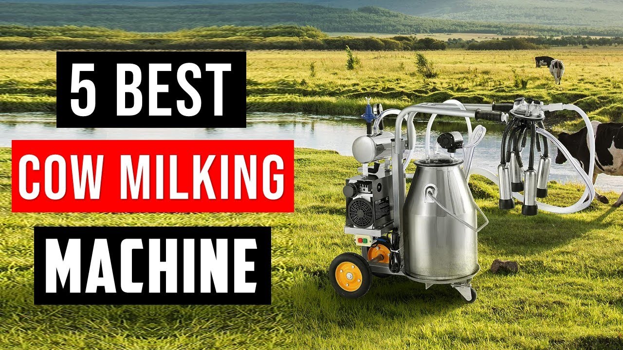 Top 5 Best Cow Milking Machine | Best Milking Machine - With Buying ...