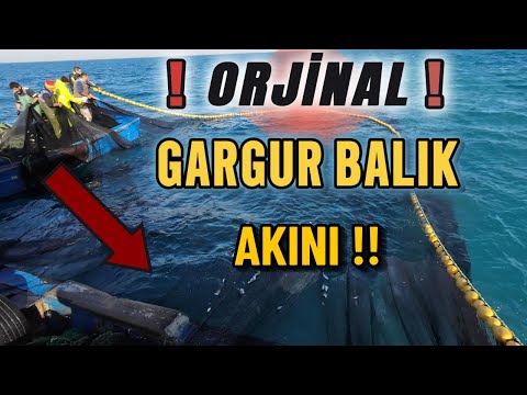 Fırtına Arkası Tahmin Dışı Balıkçılık!! Akın Akın Bereket