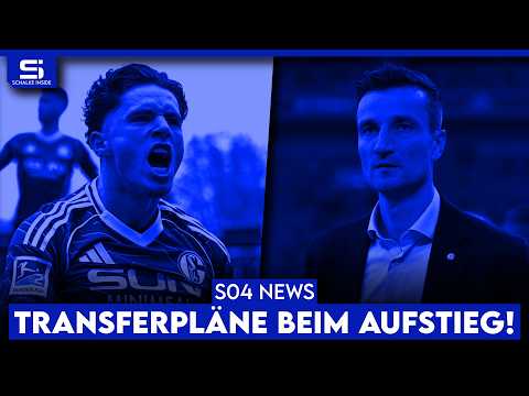 Neuer Stürmer? Verstärkungen oder Basis? Stadionumbau & neues Logo? Einblicke in Kabine! | S04 NEWS