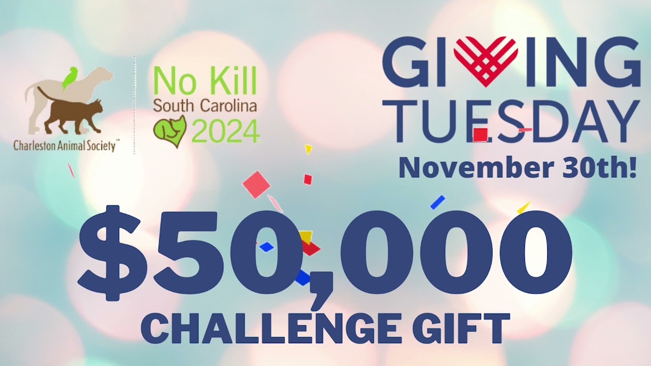 COUNTDOWN TO GIVING TUESDAY: YOUR GIFT DOUBLES! - YouTube