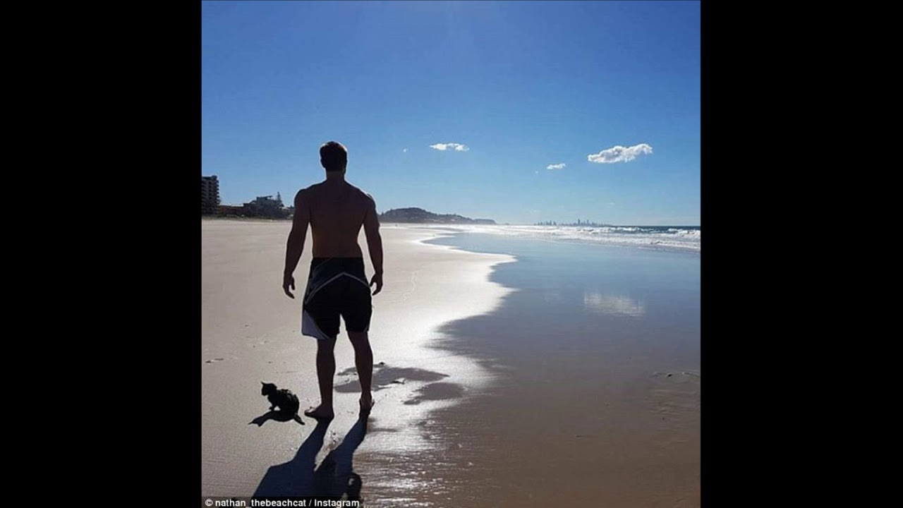 Gladstone Pier by Redgum - YouTube