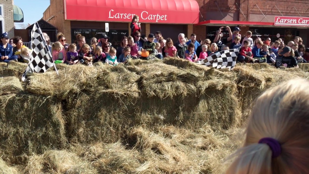 Harvest Festival Pig Races - YouTube
