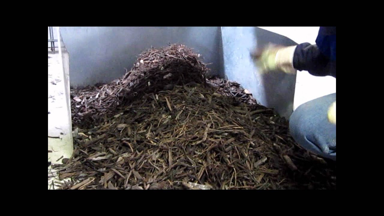 Nihot Recycling SDS with combined windshifter: Compost cleaning - YouTube