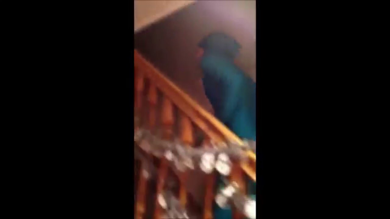 The Blue Banter Goes Fast - YouTube