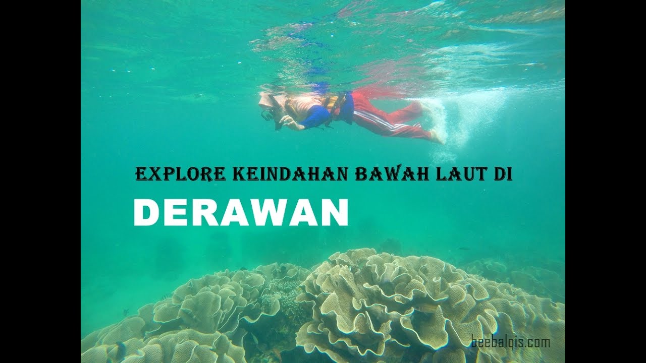 Explore Keindahan Bawah Laut di Derawan - YouTube