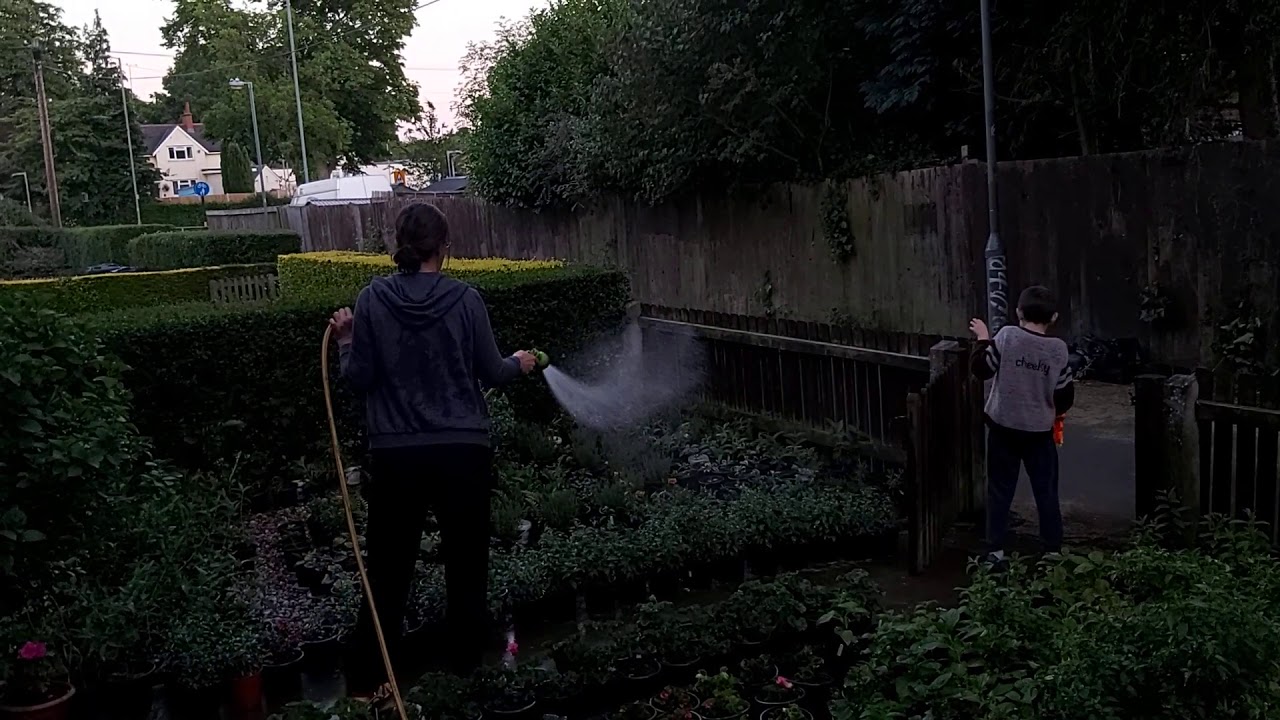 Watering .... each other - YouTube