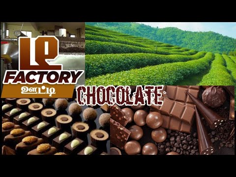 CHOCOLATE FACTORY | DODDABETTA TEA MUSEUM | OOTY TOURIST PLACES - YouTube