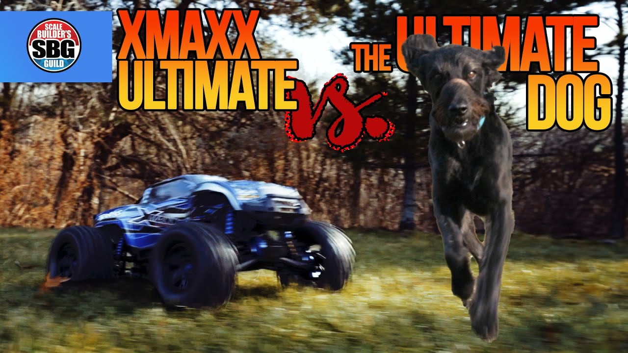 X-Maxx Ultimate vs Dog - A Christmas Special - YouTube