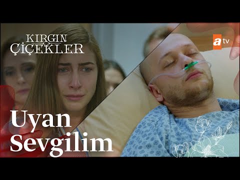 Serkan'ın ölüm kalım savaşı... - Kırgın Çiçekler 97. Bölüm