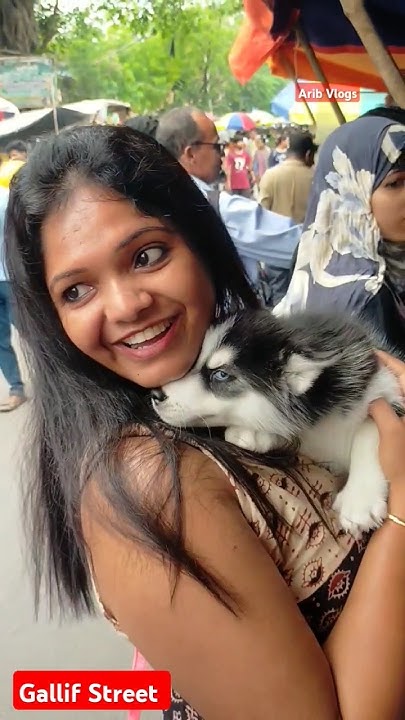 galiff street pet market | dog market Kolkata #shrots #dog #petmarket #galiffstreet - YouTube
