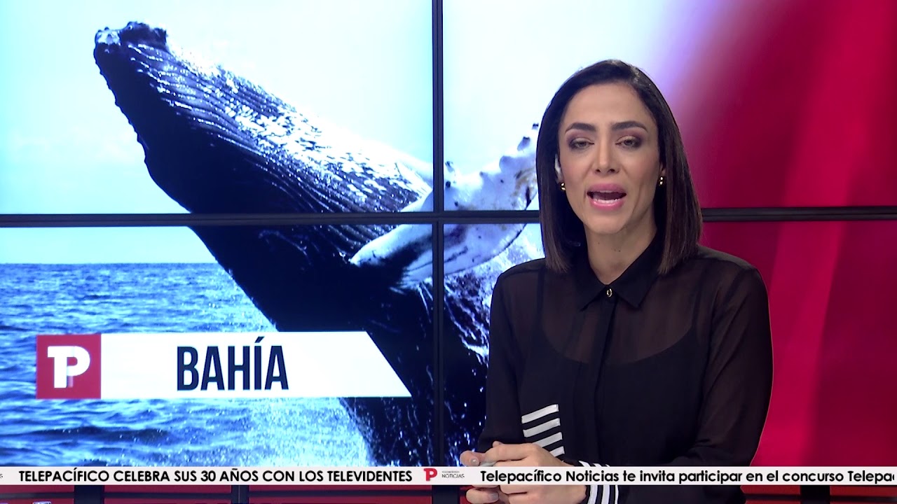 Telepacífico Noticias | Emisión 20 de agosto de 2018 | 08:00 PM - YouTube