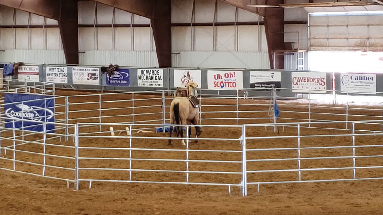 Range Riders colt starting day 3.1 - YouTube