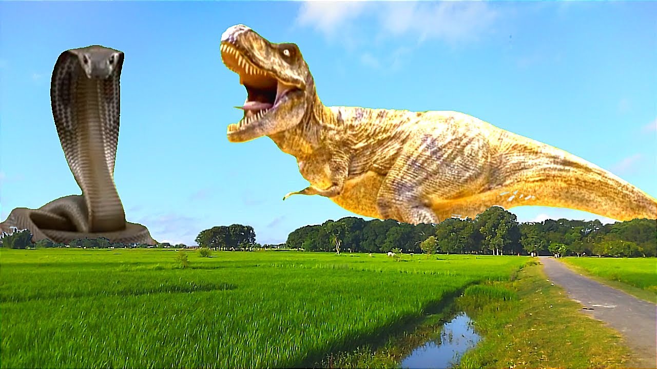 T rex chase dinosaur jurassic world. #dinosaurs #jurassicworld # ...