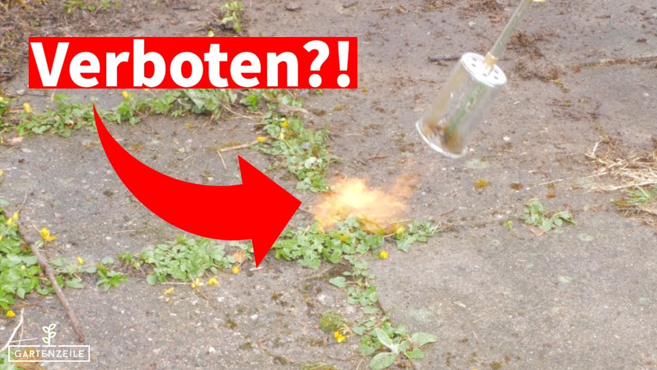 Unkraut Abflammen Verboten