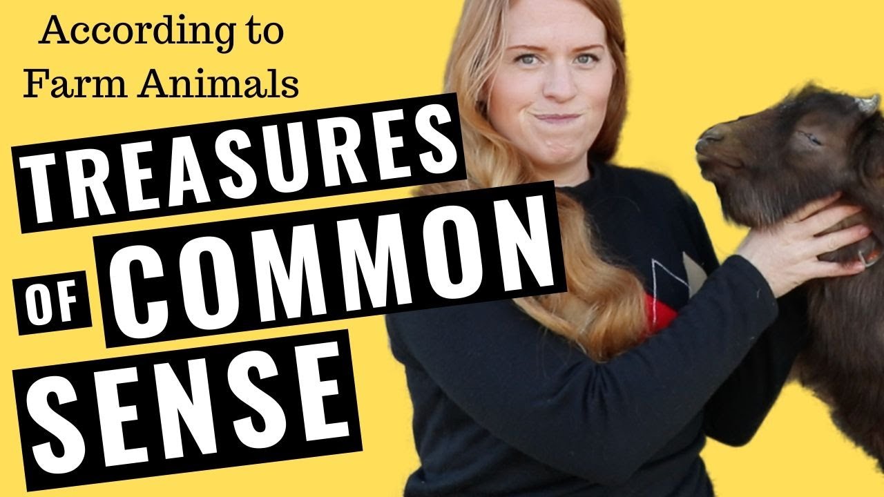 Treasures of Common Sense According to Farm Animals - YouTube