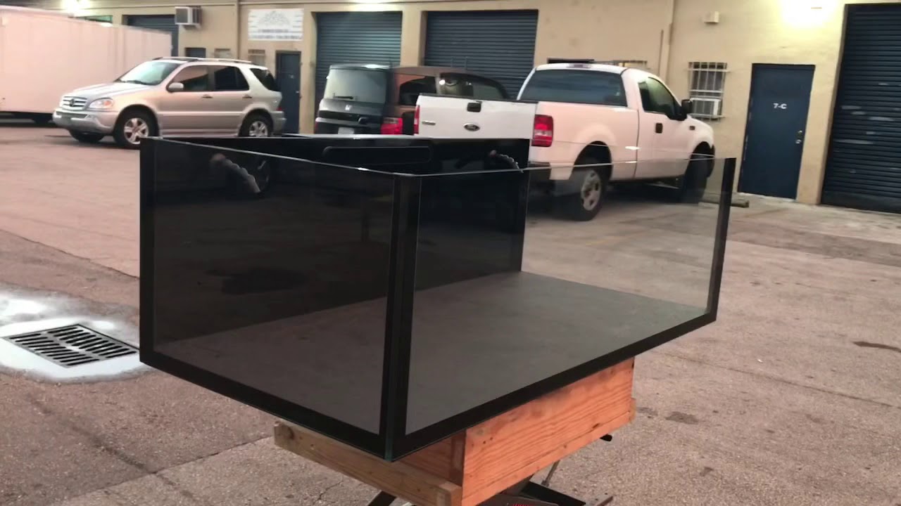 150 Gallons Reef Aquarium Fully Loaded - YouTube