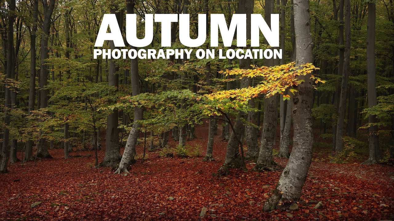Autumn Landscape Photography on Location with the Canon EOS R [Tips ...