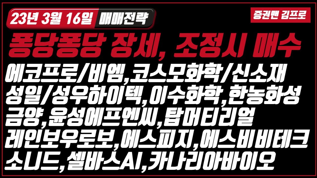 2차전지 피날레 에코프로에코프로비엠코스모화학성일하이텍이수화학한농화성금양윤성에프엔씨탑머티리얼레인보루오로틱스