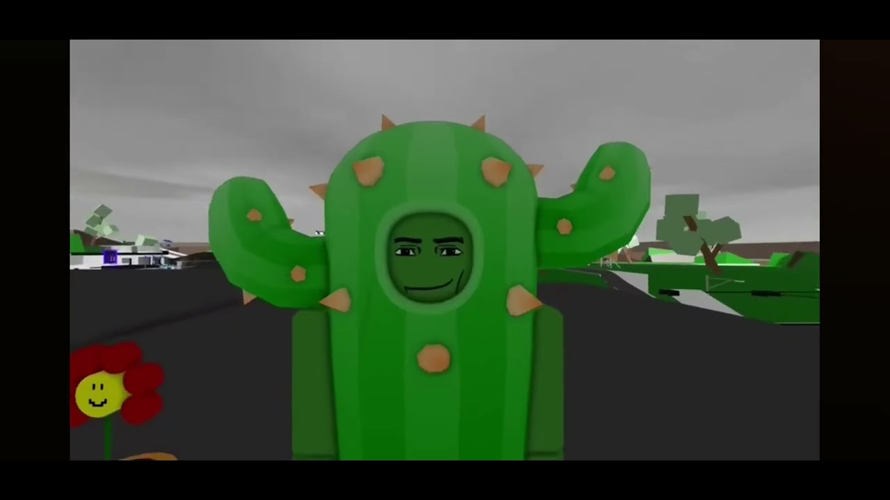 tout les transformation de cactus 🌵(akaro) - YouTube