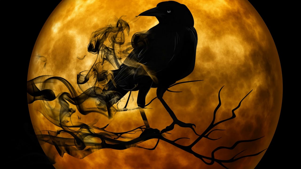 CROW HORROR SOUND EFFECT ROYAL FREE - YouTube