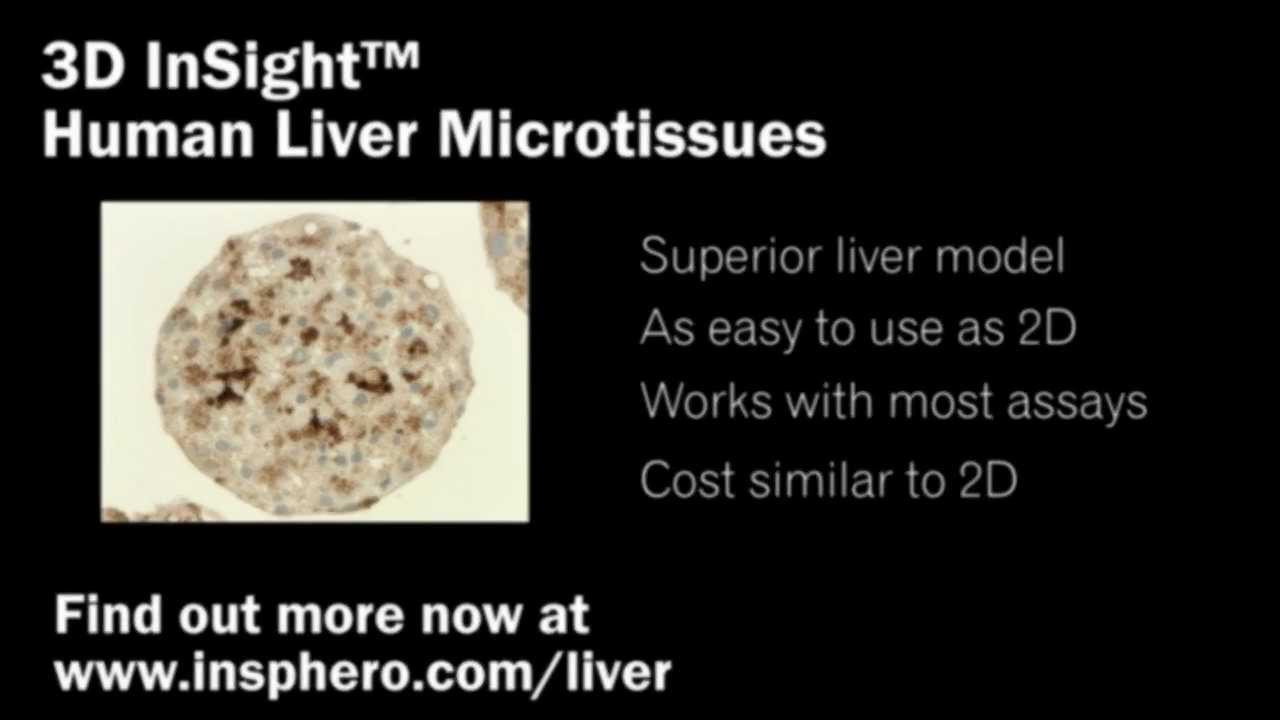 3D Human Liver Microtissues for in-vitro toxicology - A brief ...