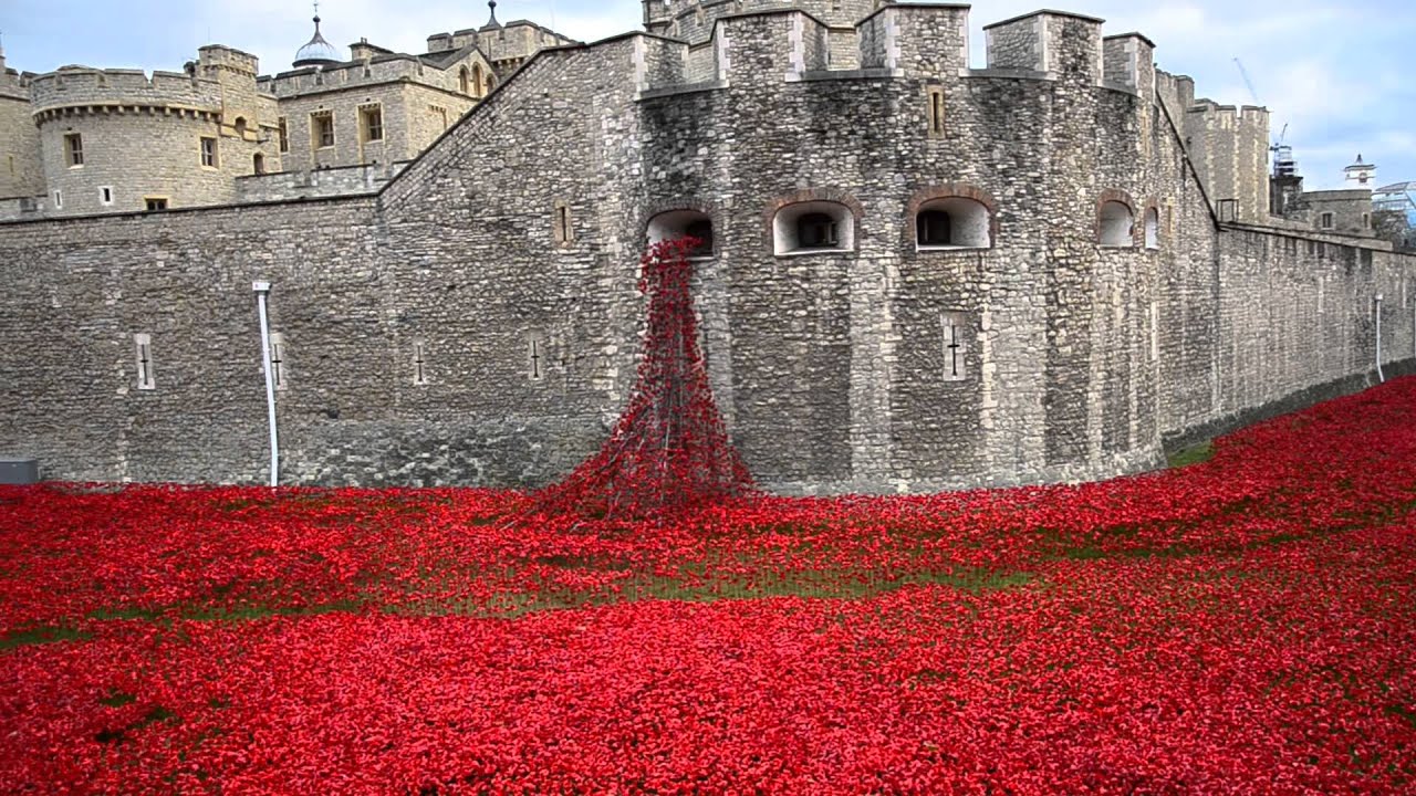 Tower of London Poppies - YouTube