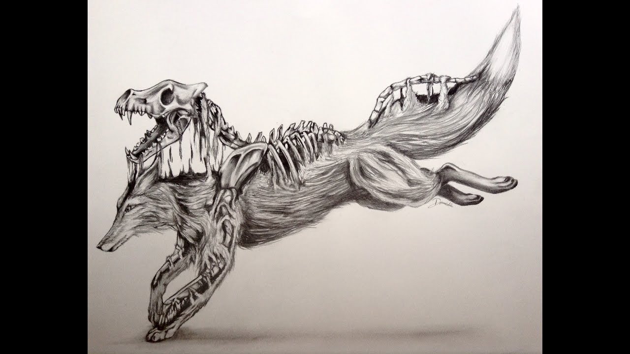 Drawing Time: Necromancer Fox "Under My Skin Series" - YouTube