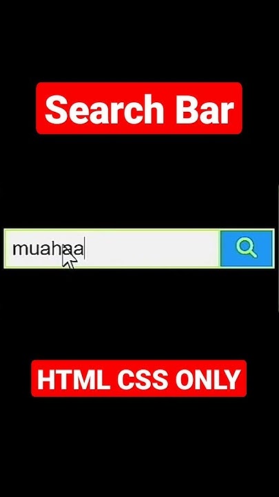 Cara Membuat Search Bar Dengan HTML dan CSS #mengareit #shorts #htmlcss - YouTube