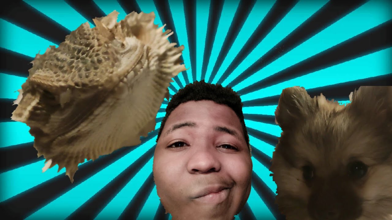 Funny Popular Trends - YouTube