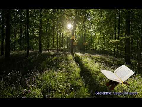 002. Al-Baqarah (The Cow) - سورة البقرة (El-Beqere) (Quran erebce, Коран на арабском)