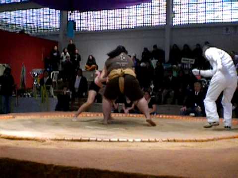 Campeonato Sudamericano de Sumo 2011 - YouTube