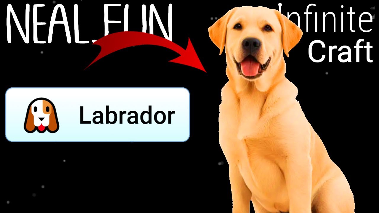 How to Make Labrador in Infinite Craft | Get Labrador in Infinite Craft ...