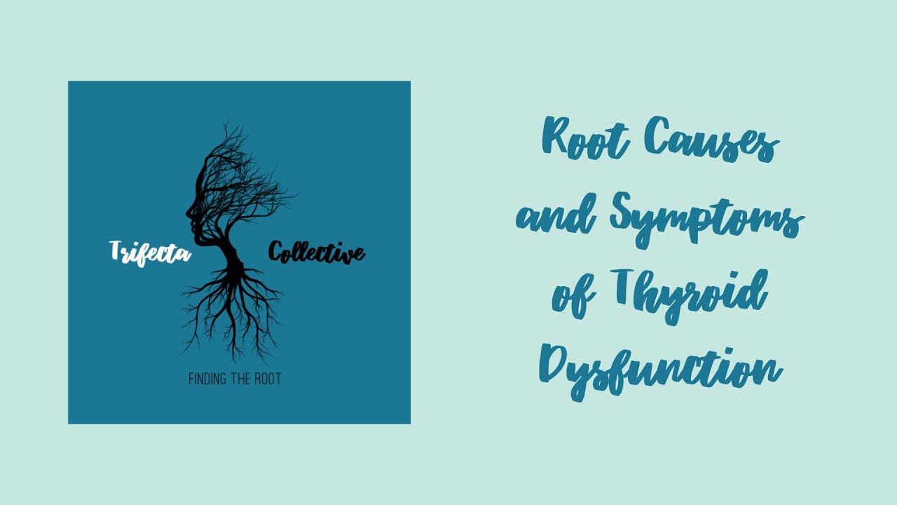 Root Causes and Symptoms of Thyroid Dysfunction - YouTube