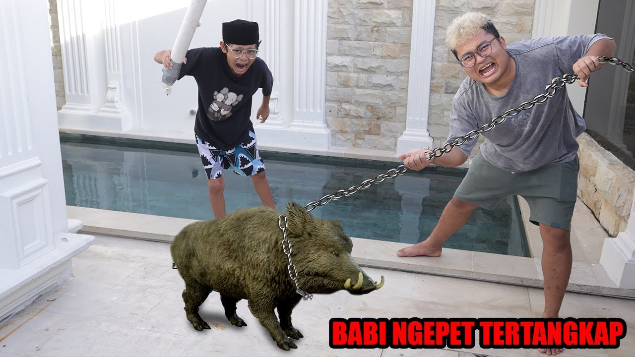 MUNCUL BABI NGEPET DI KAMPUNG!!! BOCIL BERPERANG MELAWAN BABI NGEPET ...