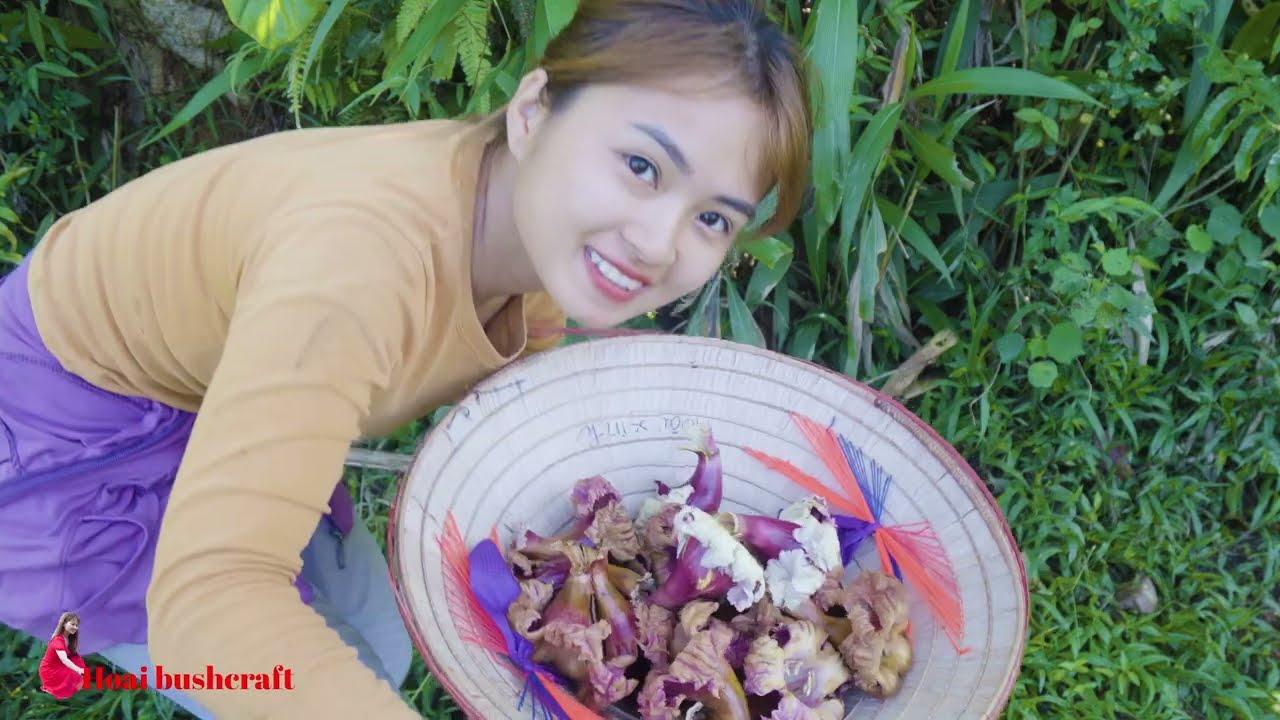 Harvest Sour Ears , Recipes for Drying and Preserving Fruits for a Long ...