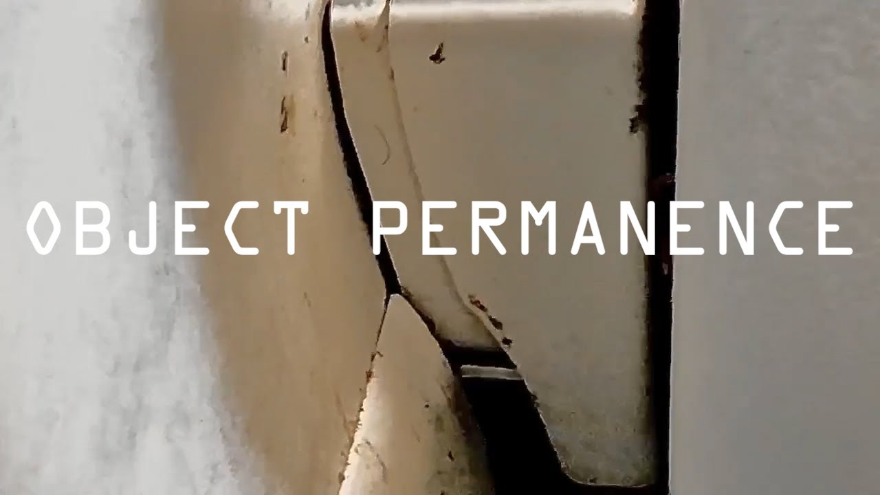 OBJECT PERMANENCE - YouTube