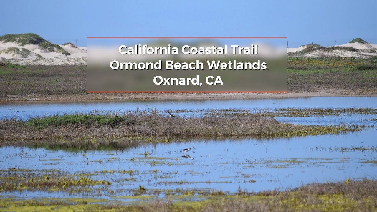California Coastal Trail: Ormond Beach Wetlands - YouTube