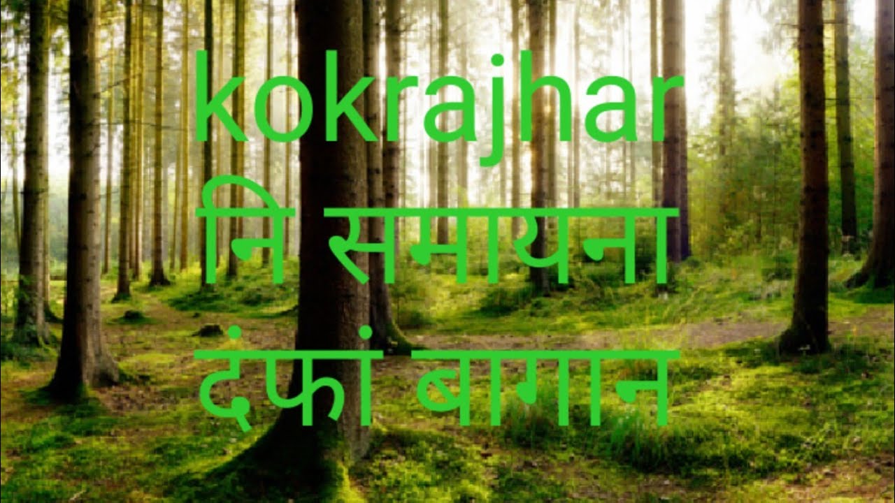 View of beautyful jungle in assam,bodoland,kokrajhar district - YouTube