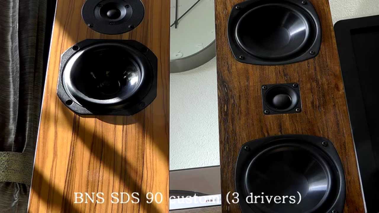 BNS SDS 90 vs FOCAL DALINE 044 custom a zoom H6 recording - YouTube