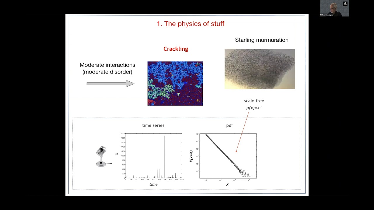 BMC Symposium 2020 Day 1 - Prof Michael Breakspear - YouTube