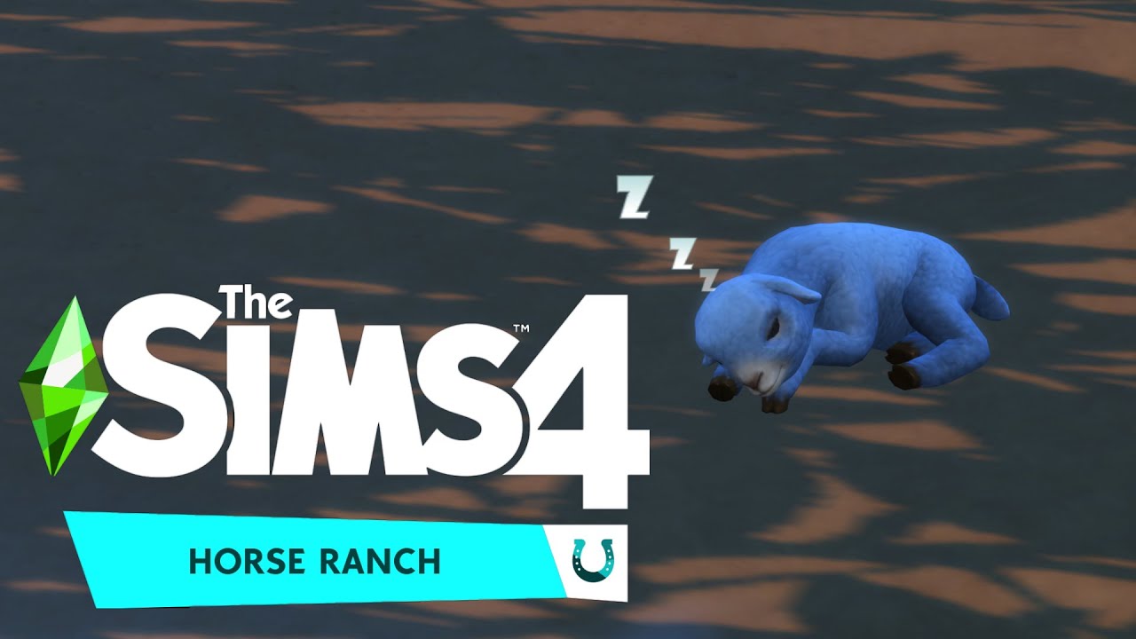 A NEW PONY AND MINI SHEEP! | The Sims 4 Horse Ranch (Part 6) - YouTube