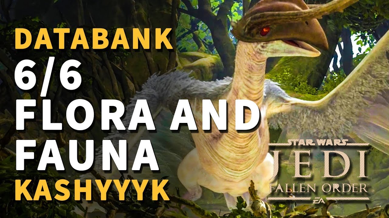 Flora and Fauna Kashyyyk All Databank Locations Star Wars Jedi Fallen ...