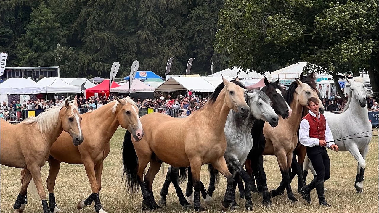 Cotswold Show 2023 - YouTube