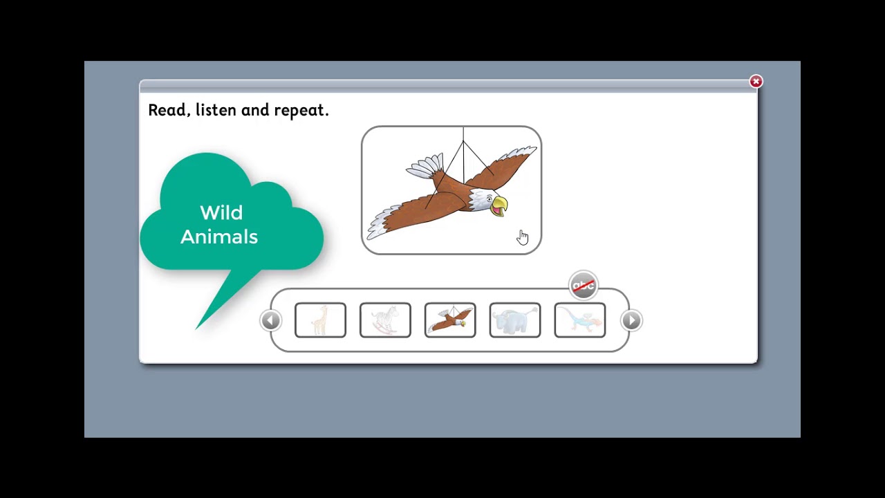 Wild Animals (3rd Grade) - YouTube