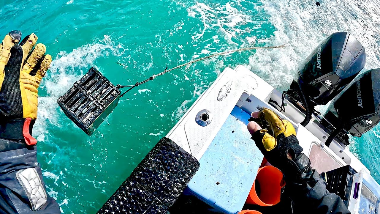 Extreme Stone Crab Fishing: Exhausted and Battling Dangerous Seas ...
